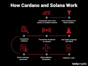 Cardano (ADA) vs Solana (SOL): Which Is Best in 2024? - tastycrypto