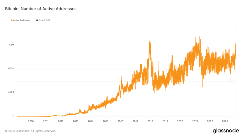 Bitcoin Adoption: Rates, Charts, and 2024 BTC Prediction - tastycrypto