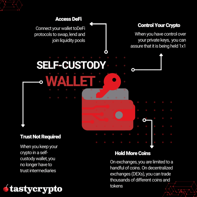 What Is a Self-Custody Crypto Wallet? Web3 Wallets Guide - tastycrypto
